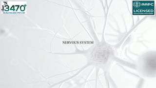 06 NERVOUS SYSTEM NMS (2).pptx of Human . | PPT