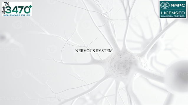 06 NERVOUS SYSTEM NMS (2).pptx of Human . | PPT