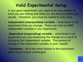 06 nos.and.experimentation | PPT