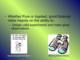 06 nos.and.experimentation | PPT