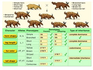 06_Notes_Non-Mendelian_Genetics_Student (1) (2).ppt