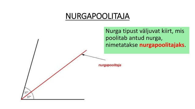 Nurgapoolitaja | PPT
