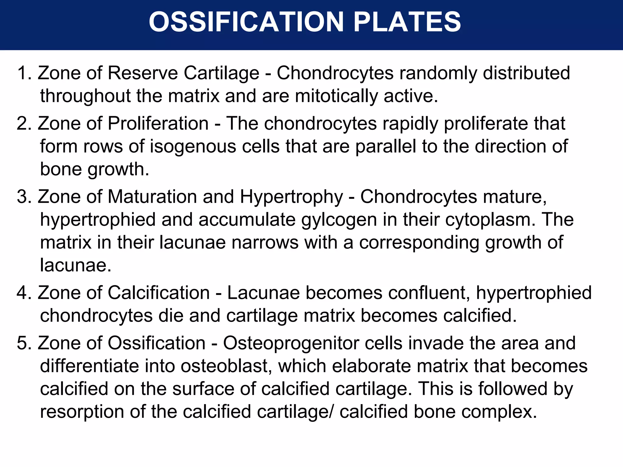 Ossification | PPT