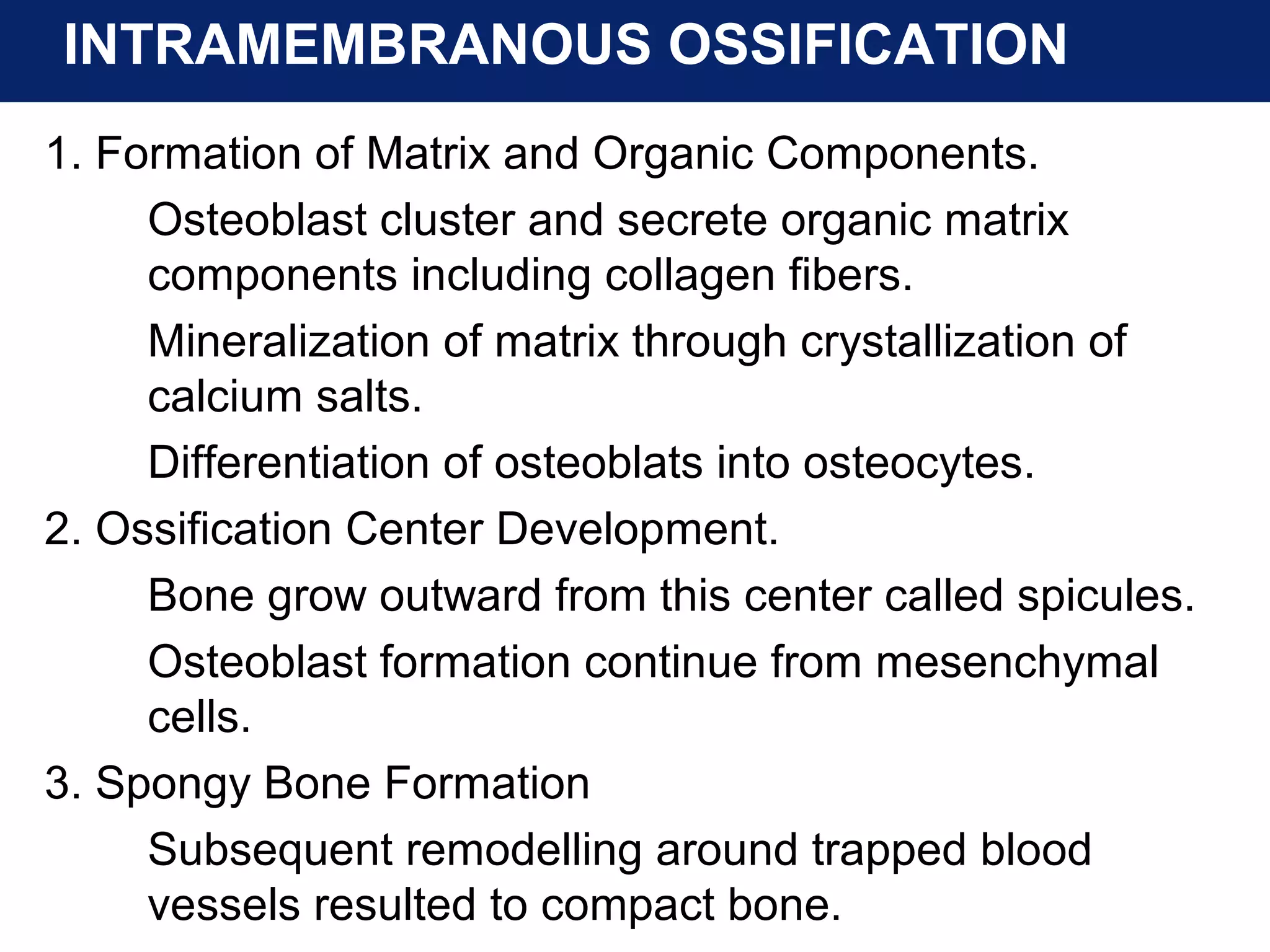 Ossification | PPT