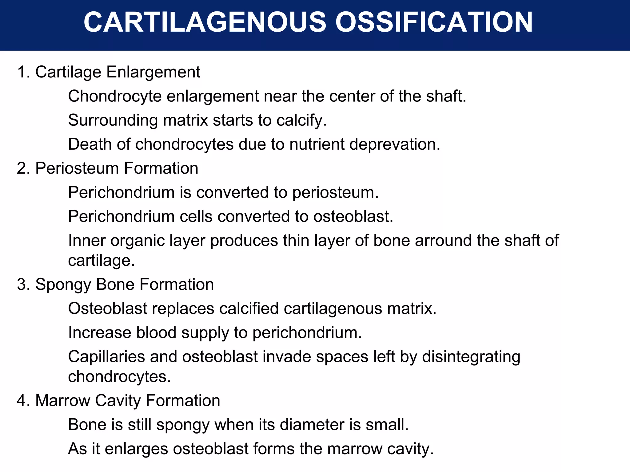Ossification | PPT