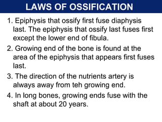 Ossification | PPT