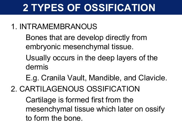 Ossification Center