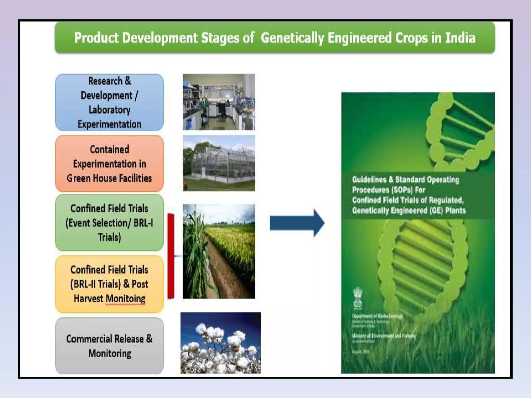 06 overview of biosafety activities of moefcc | PDF