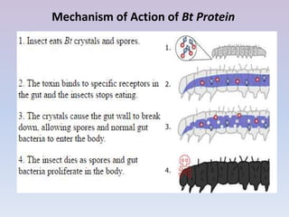 06 overview of biosafety activities of moefcc | PPT