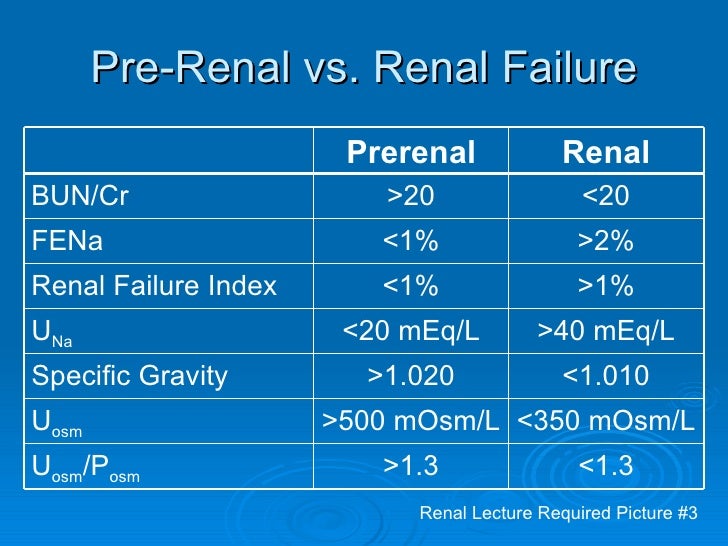 06 Paden Acute Renal Failure