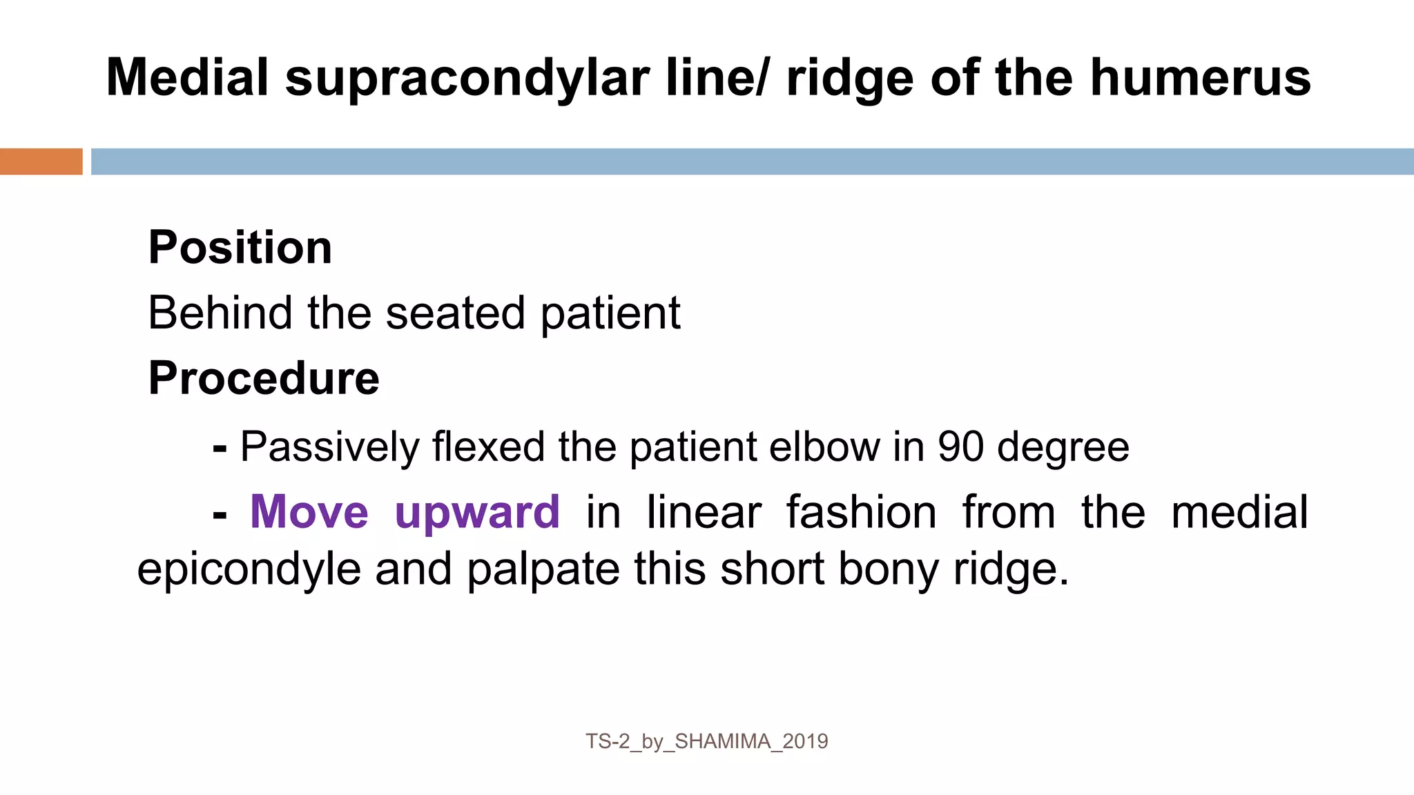 PALPATION_ELBOW_2018.pptx