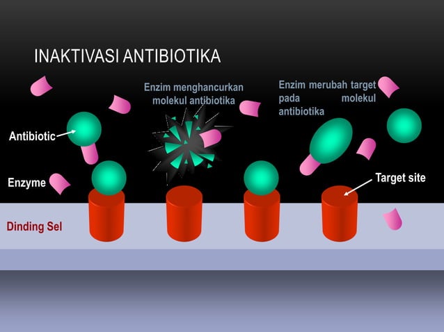 06 PENGGUNAAN ANTIBIOTIK YANG RASIONAL.pdf