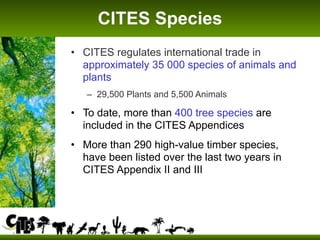 06 pia jonsson cites presentation siamese rosewood | PPT