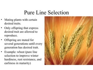 06 practical knowledge of plants | PPT