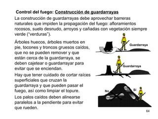 Manejo del fuego | PPT