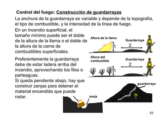 Manejo del fuego | PPT