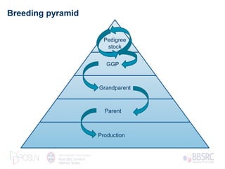 An overview of agricultural applications of genome editing: Farm ...