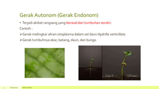 06 sistem gerak pada tumbuhan | PPTX