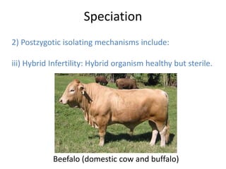 06 speciation | PPT