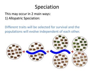 06 speciation | PPT