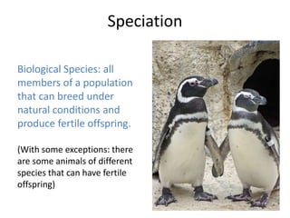 06 speciation | PPT