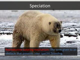 06 speciation | PPT