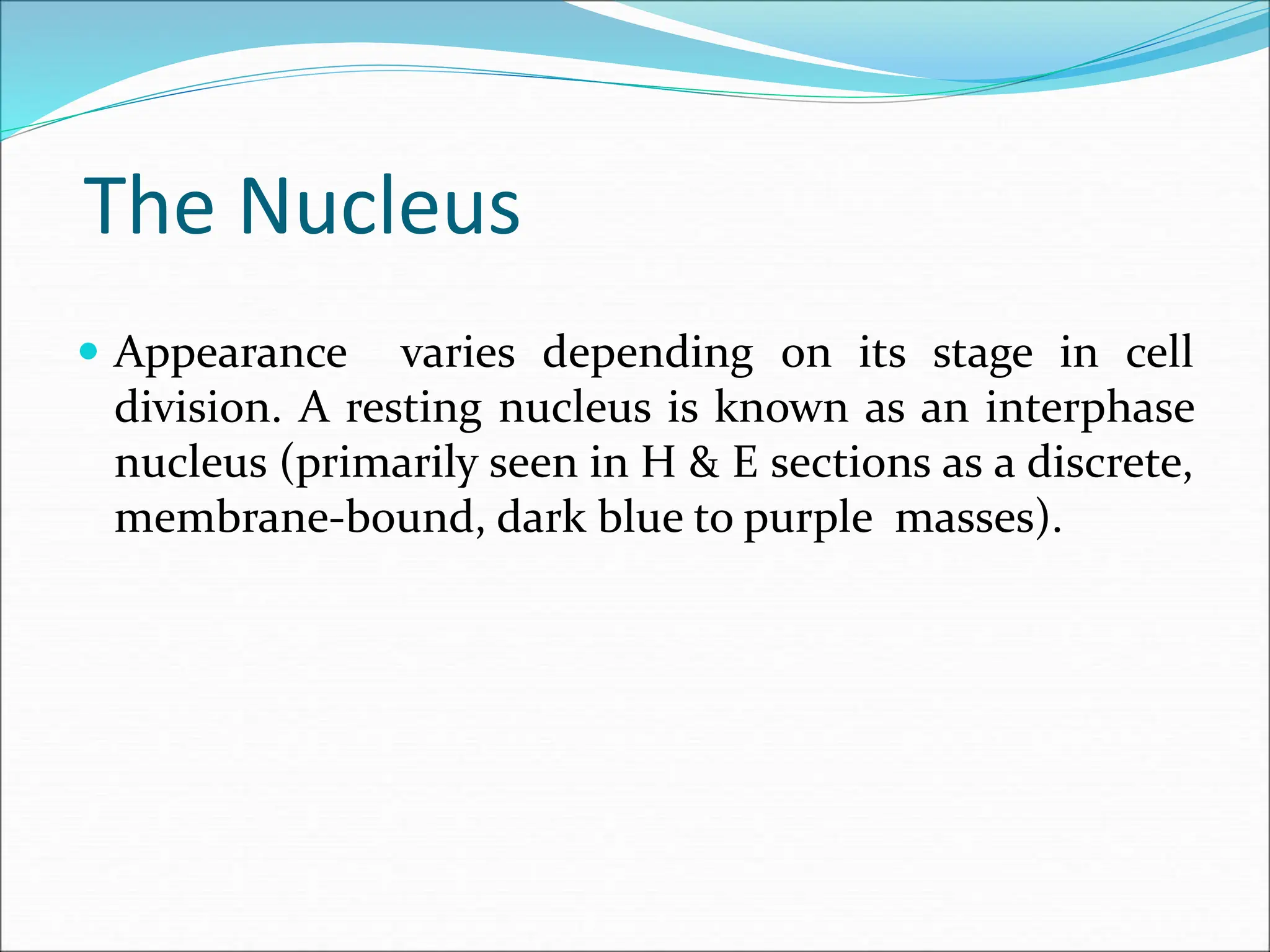 procedure for Staining on routine histopath.ppt