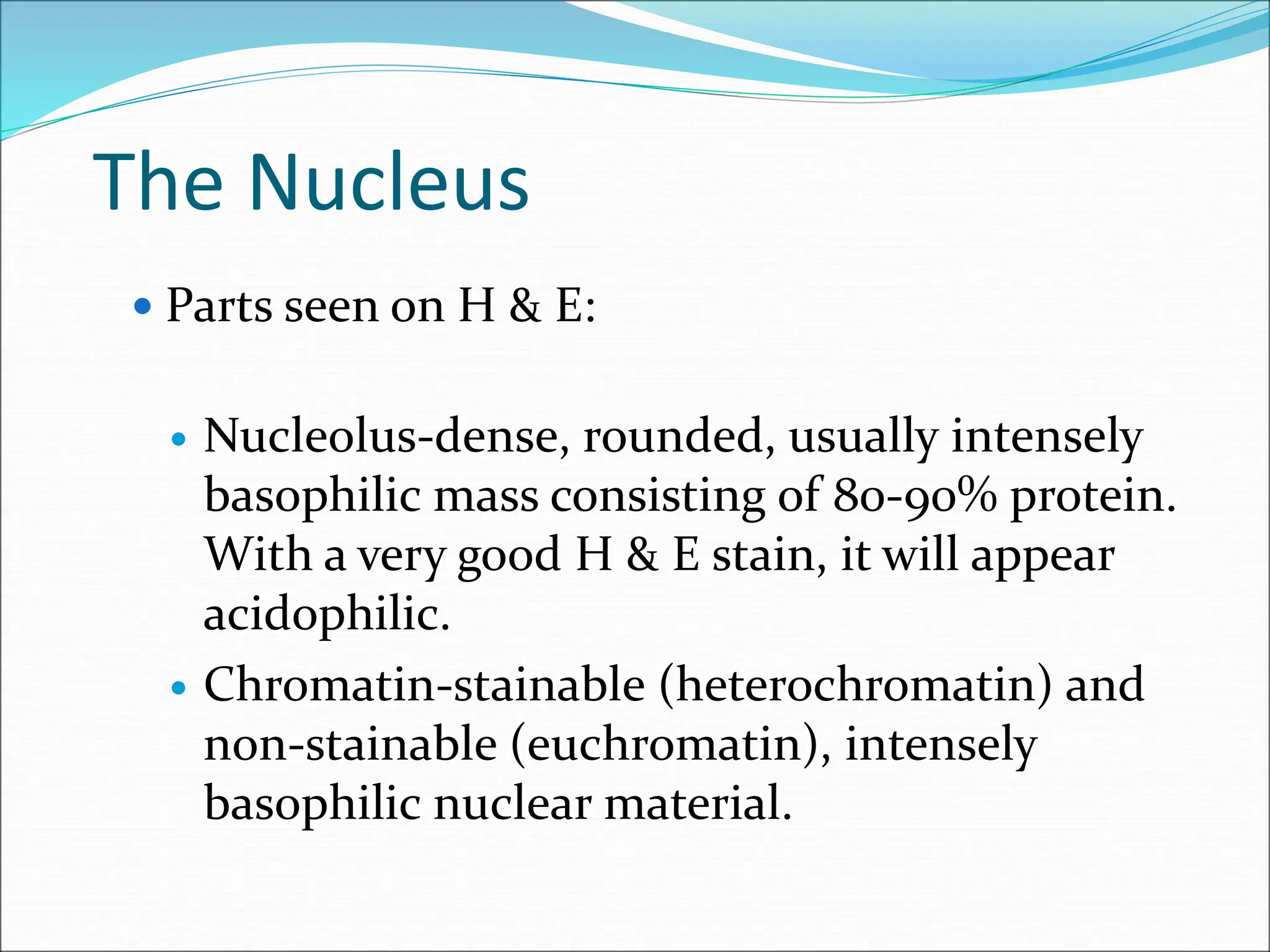 procedure for Staining on routine histopath.ppt