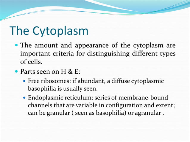 procedure for Staining on routine histopath.ppt