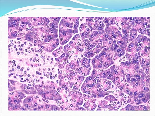 procedure for Staining on routine histopath.ppt