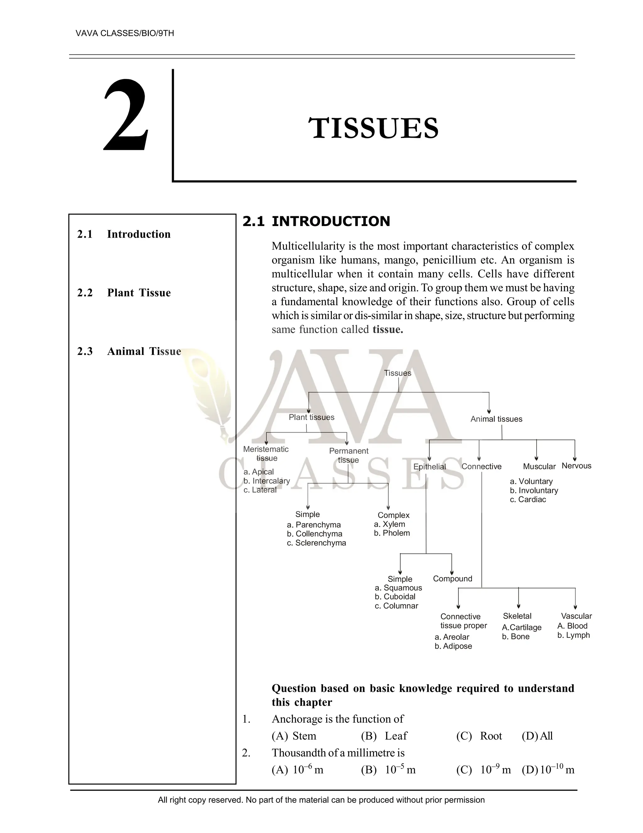 Tissues class 9 pdf notes-Chapter 6-NCERT Solutions | PDF
