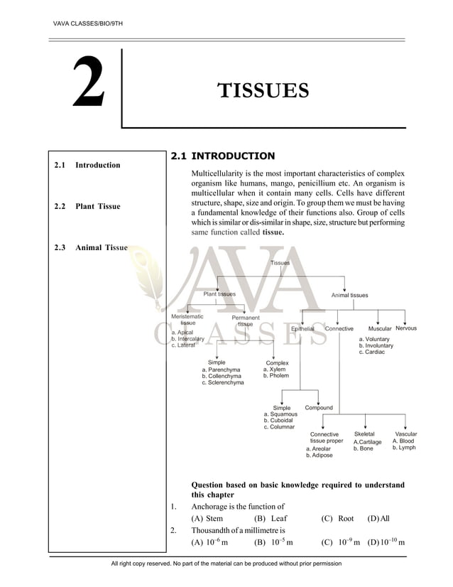 Tissues class 9 pdf notes-Chapter 6-NCERT Solutions | PDF | Gardening ...