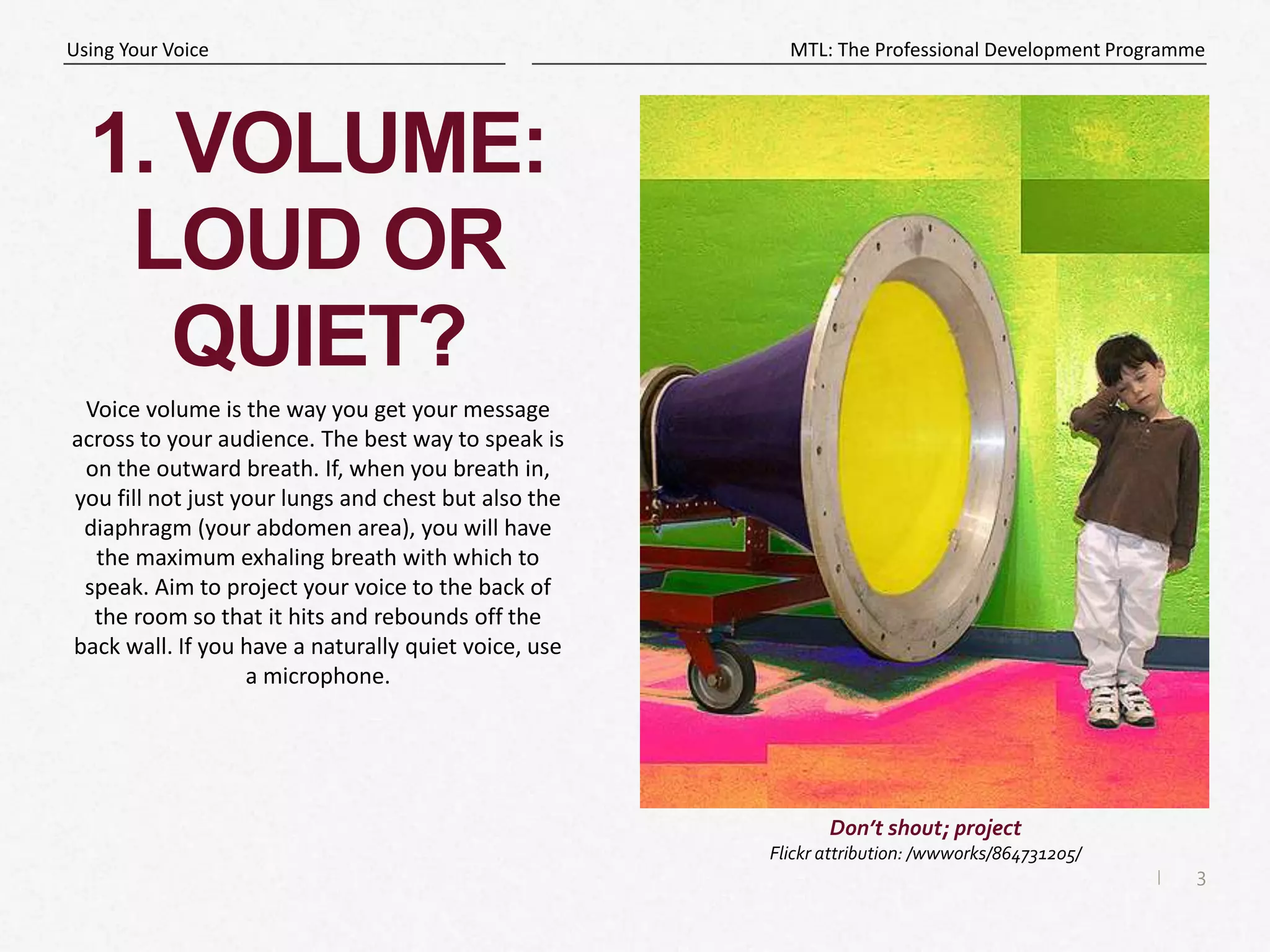 Using Your Voice in Presentations | PPTX