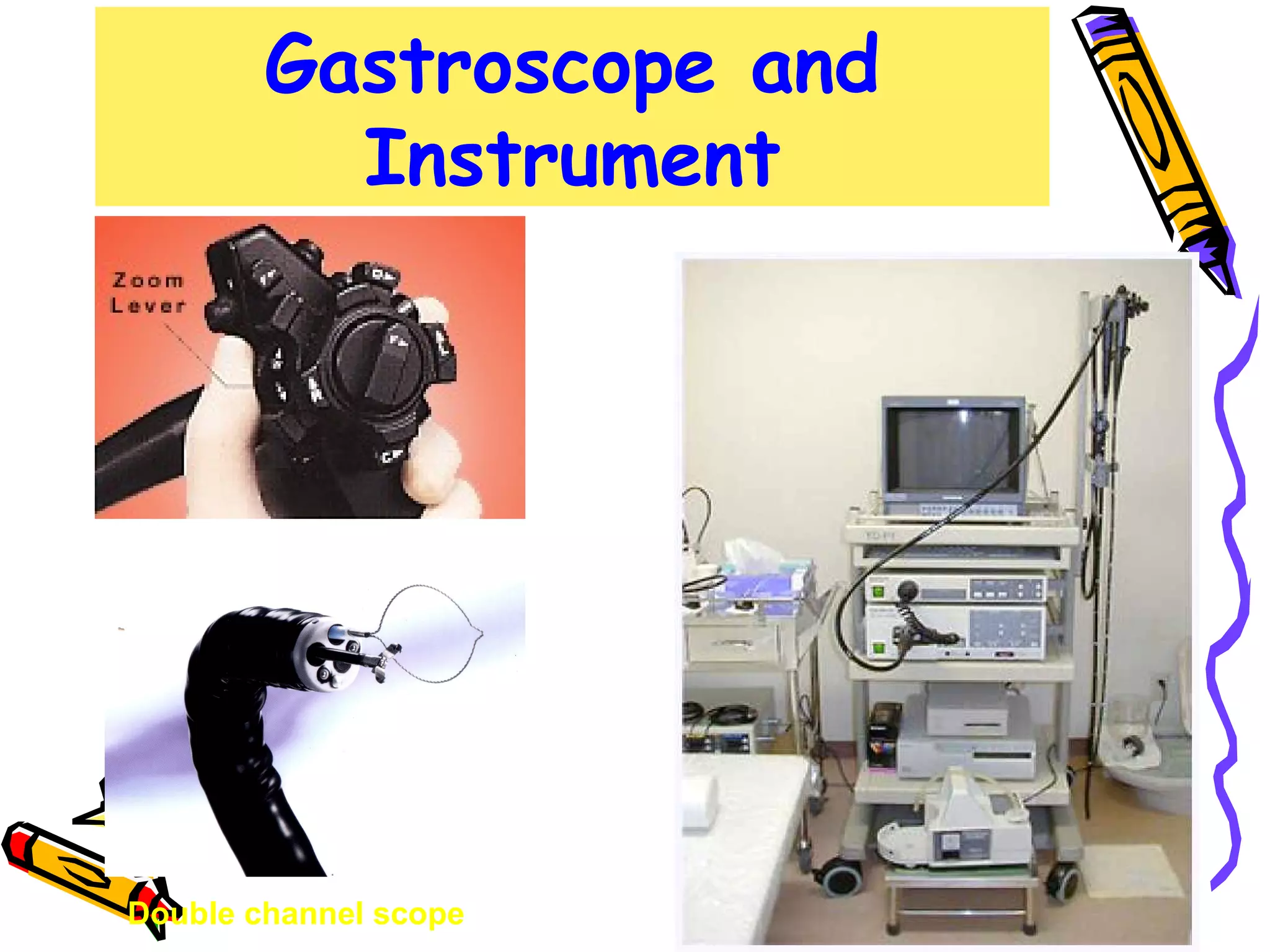 TAEM10:Roles of endoscopic nurse | PPS
