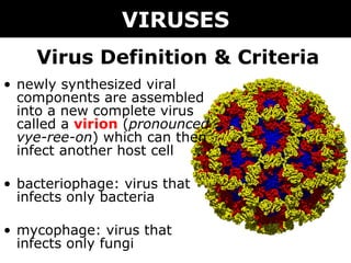 06 viruses | PPT