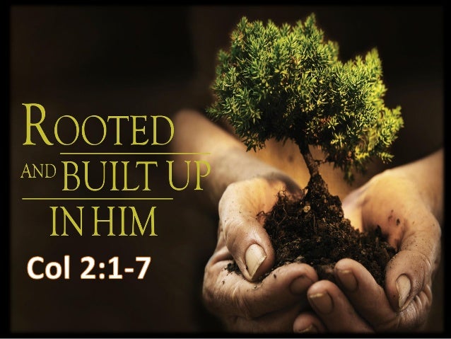 07 05 col 2 1-7 rooted & built up in christ
