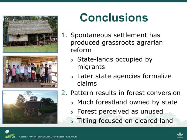 Migration, property rights and livelihoods on Peruvian forest frontiers ...