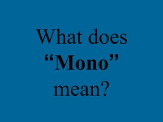 The Big 4: Introduction | PPT