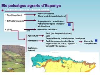 07. el sector primari a espanya (Esquema) | PPT