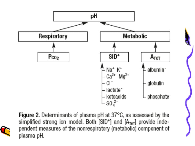 07. acid base disorders | PPT