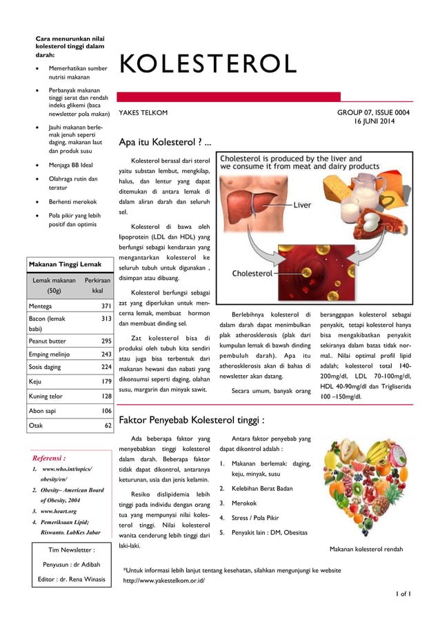 Kolesterol | PDF