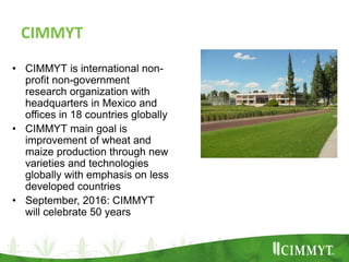 CIMMYT's experience with conservation agriculture | PPTX