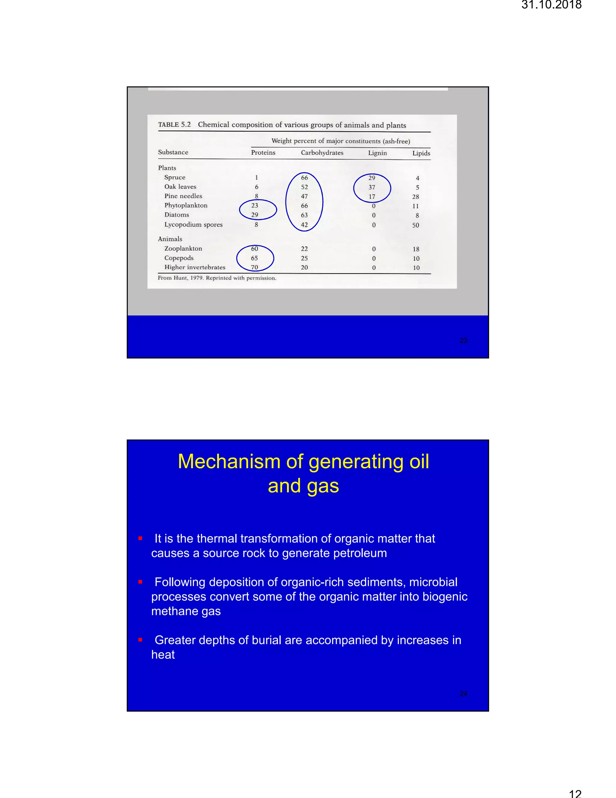 07. generation of petroleum | PDF