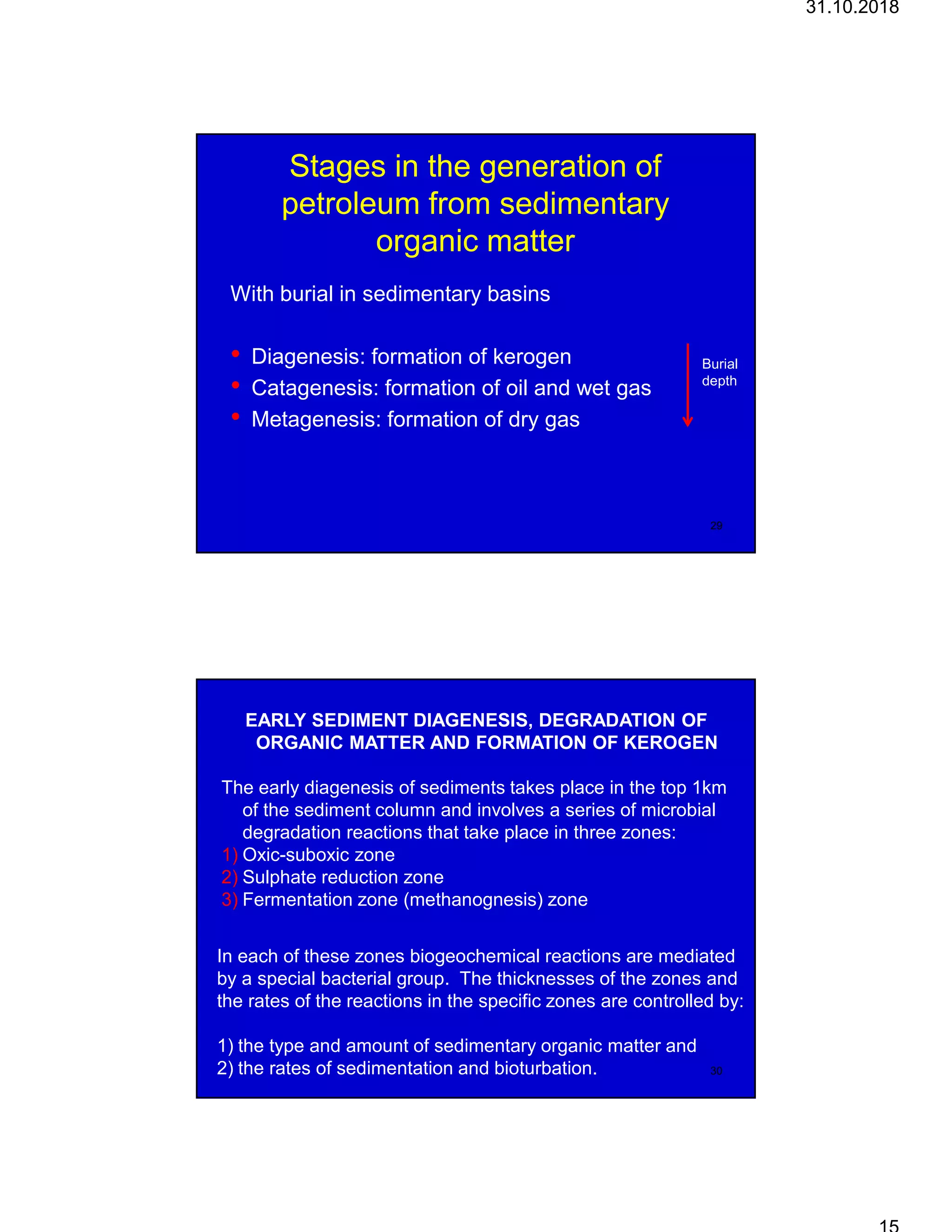 07. generation of petroleum | PDF