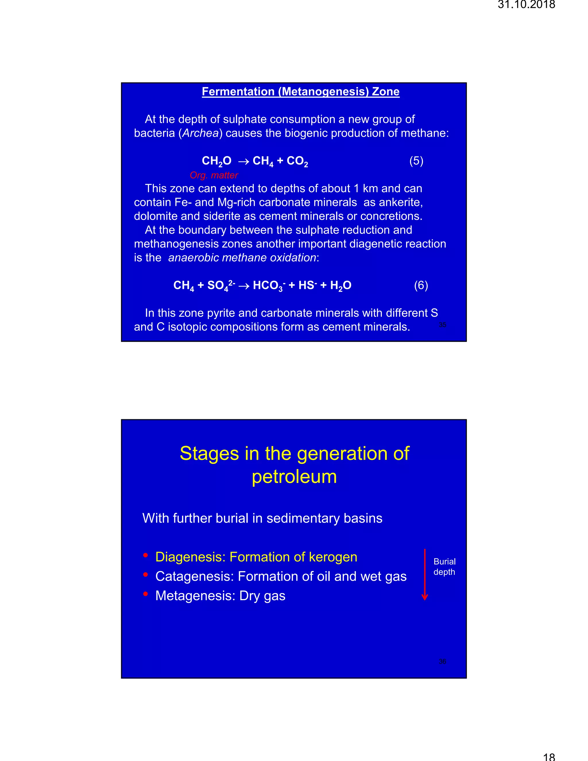 07. generation of petroleum | PDF