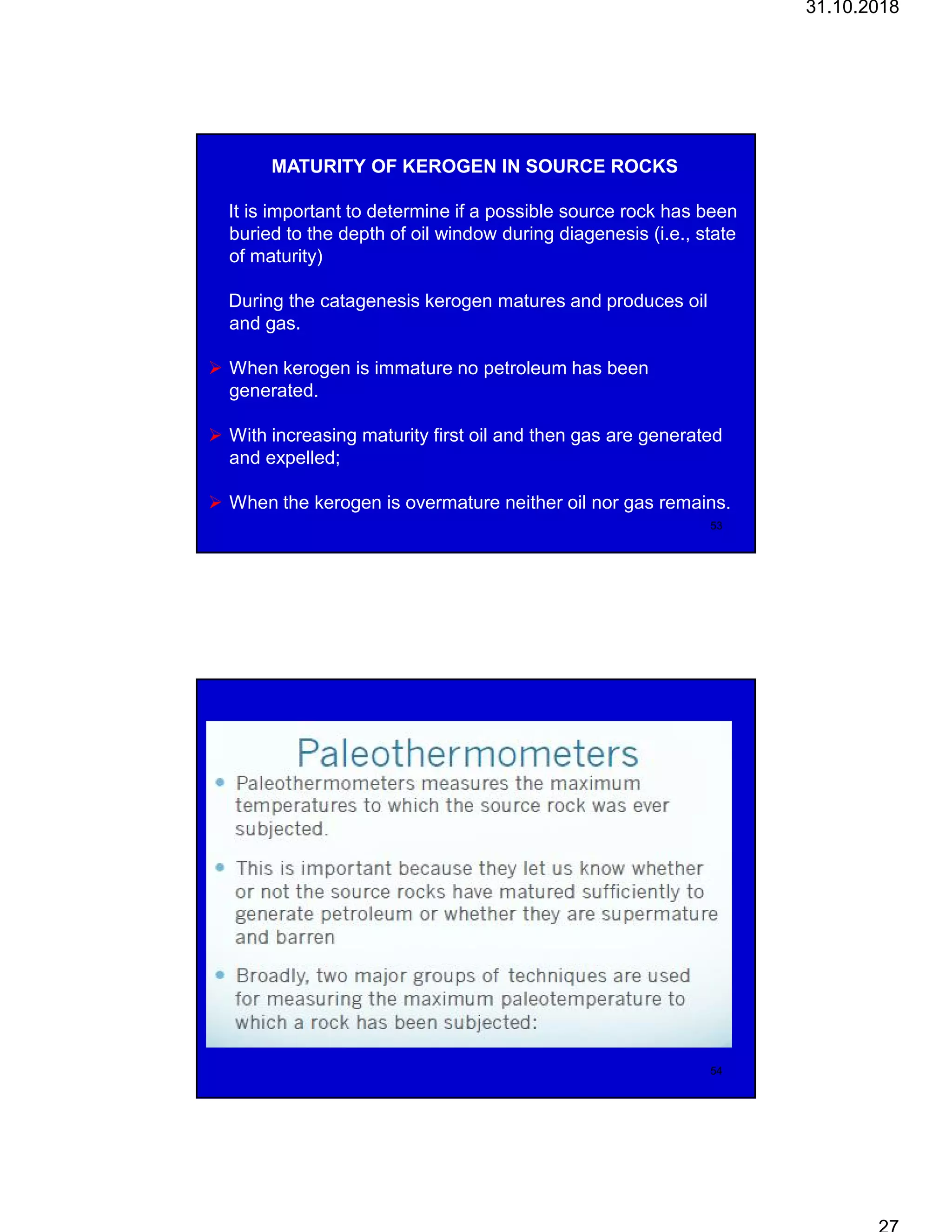 07. generation of petroleum | PDF