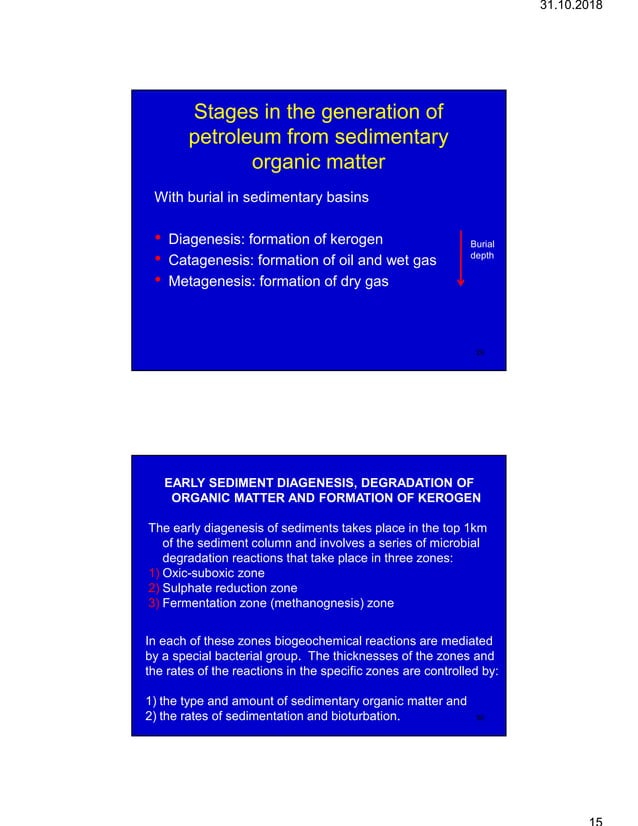 07. generation of petroleum | PDF
