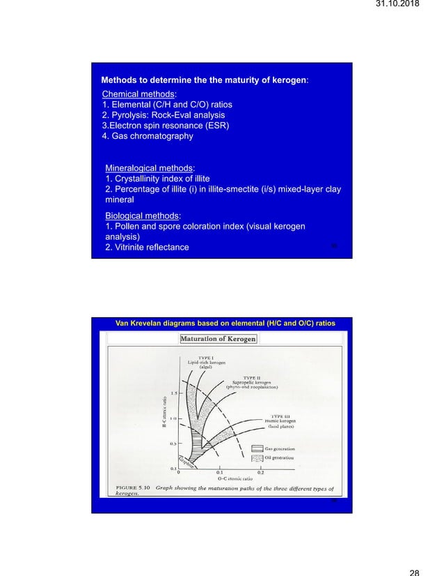 07. generation of petroleum | PDF