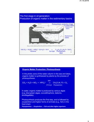 07. generation of petroleum | PDF