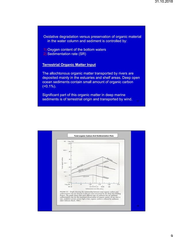 07. generation of petroleum | PDF